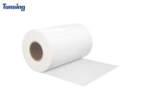 China Double Side Polyester PES Hot Melt Adhesive Film For Shoe Tongue for sale