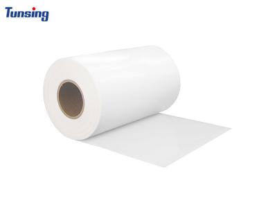 China Double Side Polyester PES Hot Melt Adhesive Film For Shoe Tongue for sale