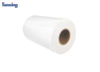 China Thermoplastic Transparent Hot Melt Adhesive Film Pes For Fabric for sale