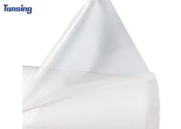China Double Side Heat Activated Adhesive Film Pes Polyester For Fabric for sale