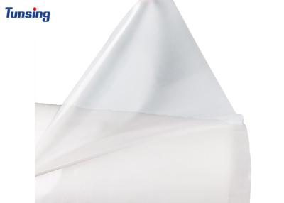 China Double Side Heat Activated Adhesive Film Pes Polyester For Fabric for sale