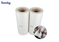 China Good Color Rendering Heat Transfer DTF Printing PET Film Double-Side Matte PET Film for sale