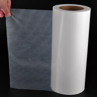 China 50Cm Width Polyester PES Hot Melt Adhesive Film For Embroidery Patch for sale