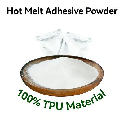 China DS221 TPU Hot Melt Powder for DTF Printing on T-Shirts High-Performance Polyurethane Adhesive 5KG 20KG Wholesale Packaging for sale