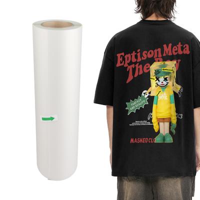 China DTF Printer PET Heat Transfer Film - Fast Curing 75U Thickness Double Sided Adhesive, 30/33/60cm Roll Available for sale
