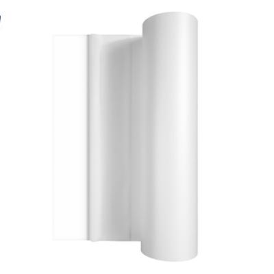 China Tunsing DS0012T High Quality PES Hot Melt Adhesive Film Durable Bonding for Decorative Films, Handbags, Luggage & Accessories for sale