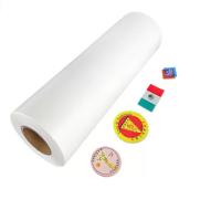 China DS001TS Copolyester Hot Melt Adhesive Film – Excellent Bonding for PVC with Wash Resistance at 40°C and Milky White Translucent Finish for sale