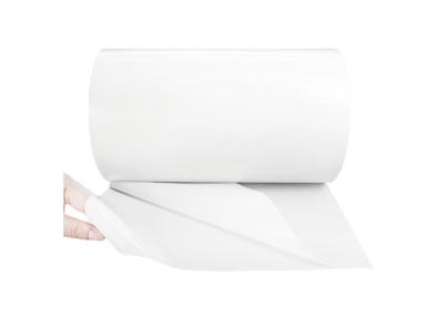 China Thermoplastic Translucent Hot Melt Adhesive Film For Fabric for sale