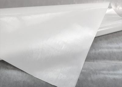 China Milky White Translucent PES Coplymer Hot Melt Film For PVC Patch for sale