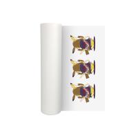 China Transparent 60cm Width Printing Release Heat Transfer Pet Film for sale