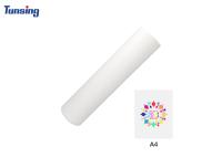 China PES 15s Dtf Pet Transfer Film Thermoplastic Hot Melt Vinyl Sheet for sale