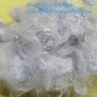 China Virgin Polyester Fiber Optical White Reddish Psf Fiber For Spinning 1.2D X 38mm OW_R for sale