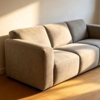 China Small Apartment Foldable Sofa Bed, Dual-Use for Living Room, Multi-Functional Storage, Simple Fabric Sofa for sale