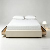 China Minimalist Bed with Practical Large Underbed Drawers for sale