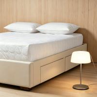 China Robust Bed Structure with Roomy Drawer Containers for sale
