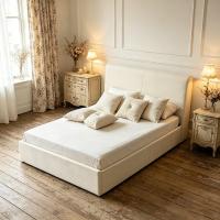 China Thick Material Bed Frame with Stable Hydraulic Lift Aid for sale