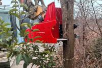 China Excavator Tree Shears 4-25TON CAT 315 CAT320 for sale