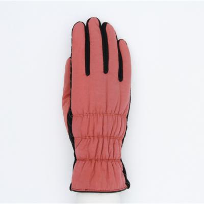 China Hand-Back Quality Recycling Gloves Premium Nylon Winter Waterproof\Warm\Breathable\Comfortable Silk Rotation for sale