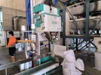 China Ewinall DCS-50FB-C Automatic Manual Rice Packing Machine 5kg 10kg 15kg 25kg for sale