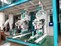 China High Speed Automatic Rice Packing Scale Machine Manual DCS-50FB3 Ewinall for sale