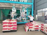 China High Speed Automatic Rice Packing Scale Machine Manual DCS-50FB3 Ewinall for sale