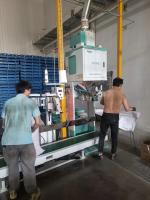 China PeanutsFeed Nuts Plastic Pellets Rice Packing Machine 10 - 50KG 200 - 480bag/H for sale