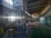 China Rice Plastic Pellets Packing Machine Servo Motor Control 2.5KG - 50KG for sale