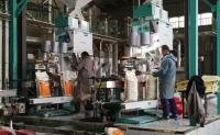 China High Weighing Precision Grain Packing Machines DCS-50FB3+ 5 - 50KG Fast Packing for sale