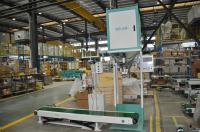 China Electronic Quantitative Grain Packing Machines For Rice White Sugar for sale