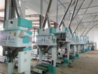 China 1.3KW 50HZ 25Kg Bag Filling Machine Intelligent Packing And Weighing for sale