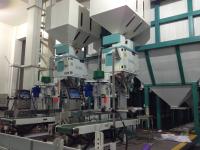 China Ewinall Granular Food Grain Bag Filling Machine 0.5MPa PLC Servo Motor for sale