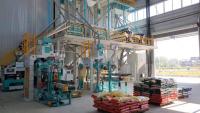 China EWINALL High Speed Automatic Rice Packing Machine 25kg Animal Feeds 600 Bags / H for sale