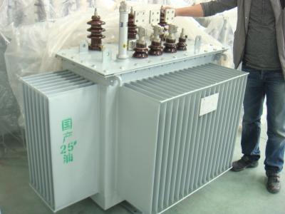 China Electric 2500kv Voltage Transformer , Low Loss Excitation Transformer In Power Plant for sale