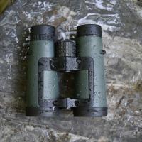 China Outdoor Bird Watching Telescope 8x42 ED Waterproof Binocular with BAK4 Prism Included for sale