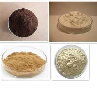 China Medicine SUS304 Particles Extract Powder  Spray Dryer Equipment  7.5m X 6m X 8m for sale