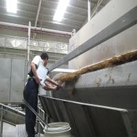 China Wood Pellet Sawdust Mesh Belt Dryer Wood Chips Dryer  450 To 1200kg/H for sale