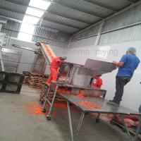 China DW Vegetables Cabbage Mesh Belt Dryer Dehydrator Fruit And Vegetable Dehydrator for sale