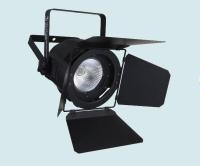 China Dmx 100w Cob Led Par Light White / Warm White Color Stage Wedding Lights Fixture for sale