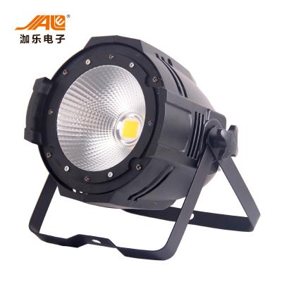 China China Top Quality 100W COB High Power Indoor Disco Led Par Lights Led Party Light for sale