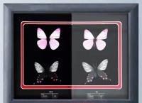 China Wholesale factory price clear glass 1.6mm 1.8mm 2mm float glass decorative photo or photo frame glass for sale
