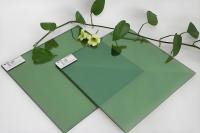 China Natural Green Tinted Float Glass for Home Interior and Shower Doors for sale