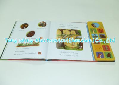China Custom 11 Button Sound Book Module For Indoor Kid's Eductational Learning for sale
