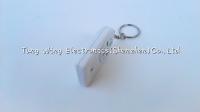 China Unique Decorative Sound Music Keychain / Keyring with voice recording chip for sale
