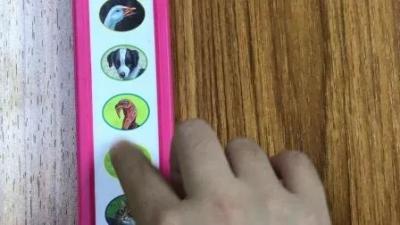 China Educational Module Board Book with Remote Control Flash of Light for 3-8 Years Children's Sound Book for sale