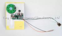 China Adjustable Volume Greeting Card Sound Module with Customized Size and High Sound Quality for Clear Audio Playback for sale