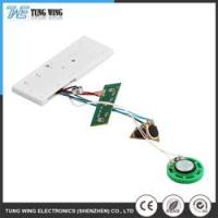 China Waterproof Sound Chip with Customizable Sound Duration and Replaceable Battery for Educational Toys for sale