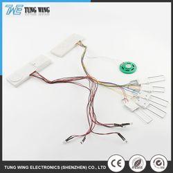 China Waterproof Recordable Sound Chip with Customizable Sound Duration and Replaceable Battery for Greeting Cards and Toys for sale