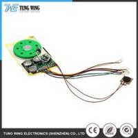 China Wholesale Waterproof Recordable Sound Chip with Customizable Sound Duration and Replaceable Battery for Greeting Cards and Toys for sale