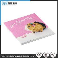 China Voice Recording Musical Sound Module with Flash of Light and Remote Control for Educational Toys for sale