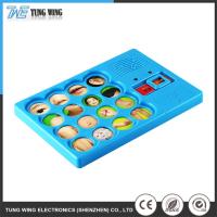 China Customized Size Educational Musical Sound Book with MP3/WAV Sound Format and Remote Control Voice Recorder Toy for sale